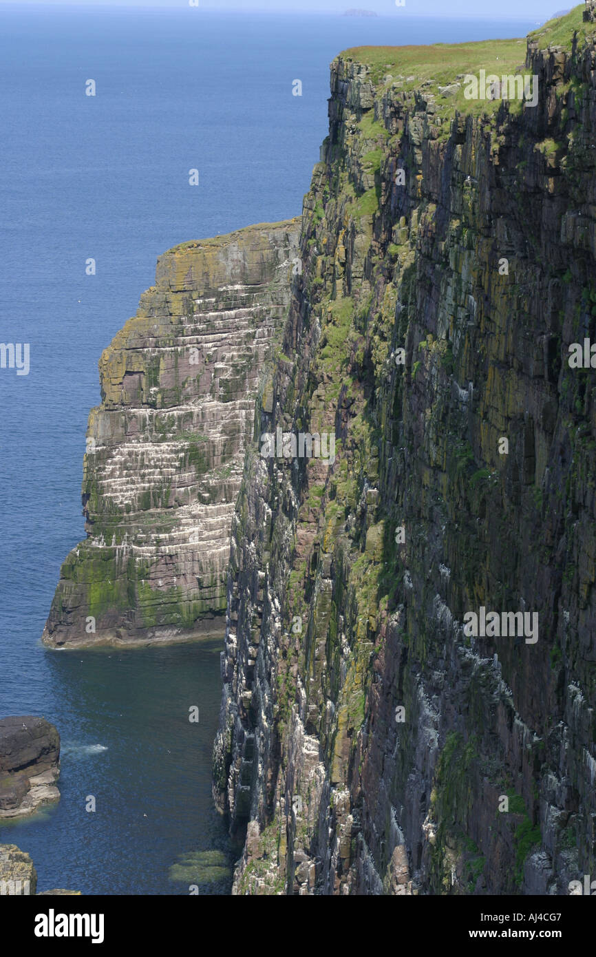 Handa Island Sea Cliffs, Sutherland, Scotland Stock Photo - Alamy