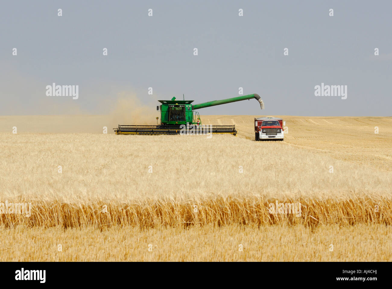Combine working a field on the Prairies Southern Saskatchewan Canada ...