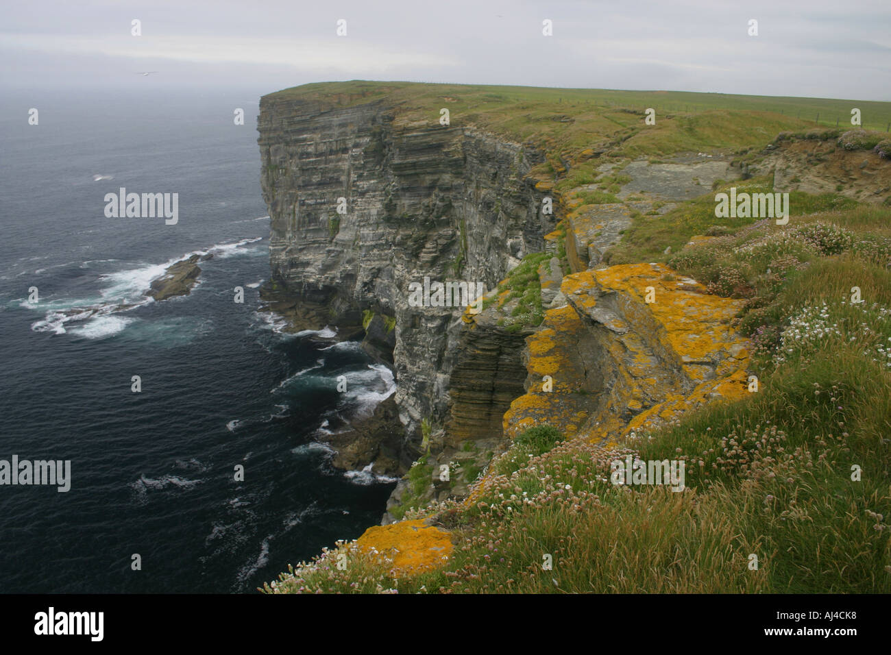 Rspb Marwick Head High Resolution Stock Photography and Images - Alamy