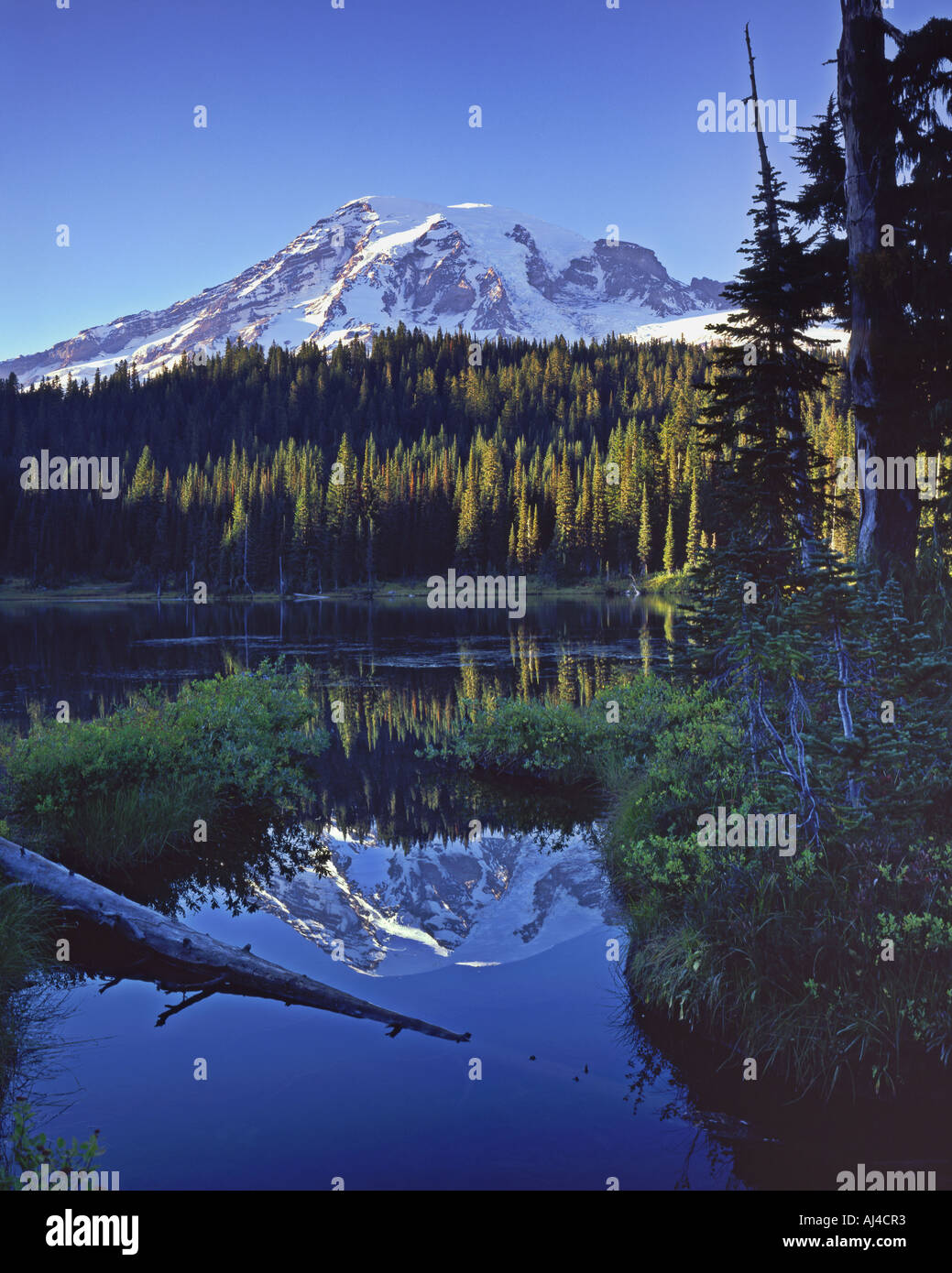 Mount Rainier At Sunset From Reflection Lake Mount Rainier National ...