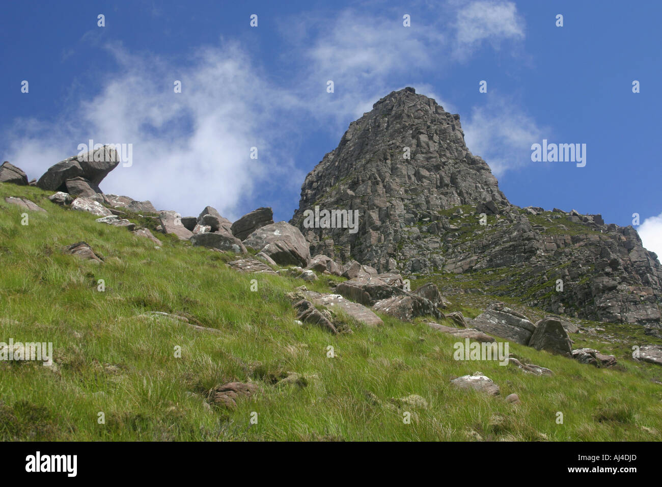 Stack polly hi-res stock photography and images - Alamy