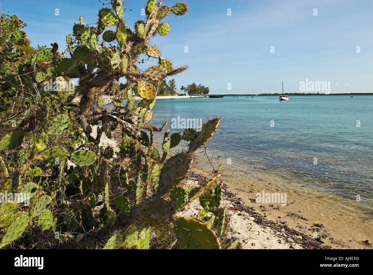 Beach of Ibo Island, Quirimbas Archipelago, Mozambique Africa Stock ...