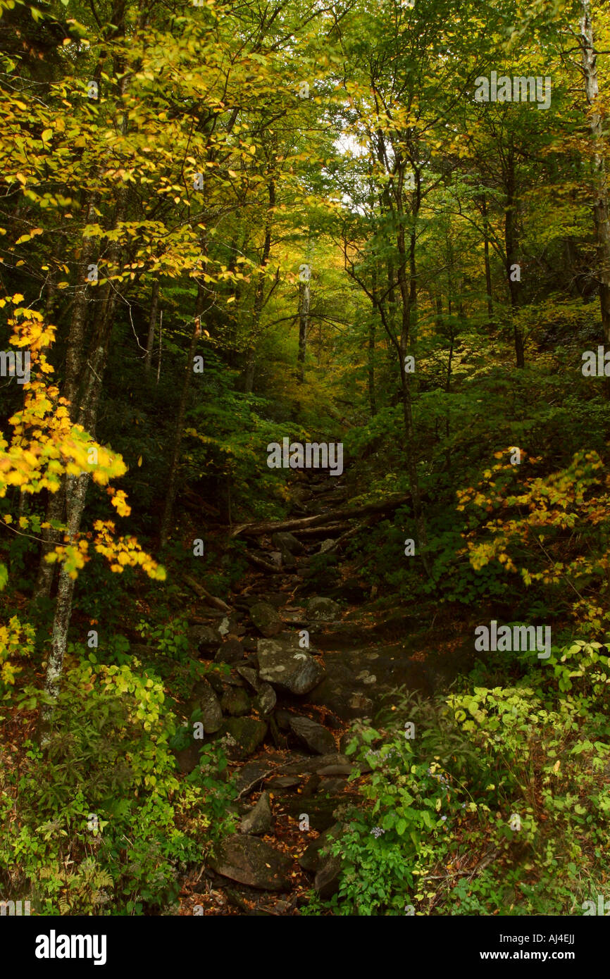 Dried Waterfall in the Fall in the Great Smoky Mountains National Park ...