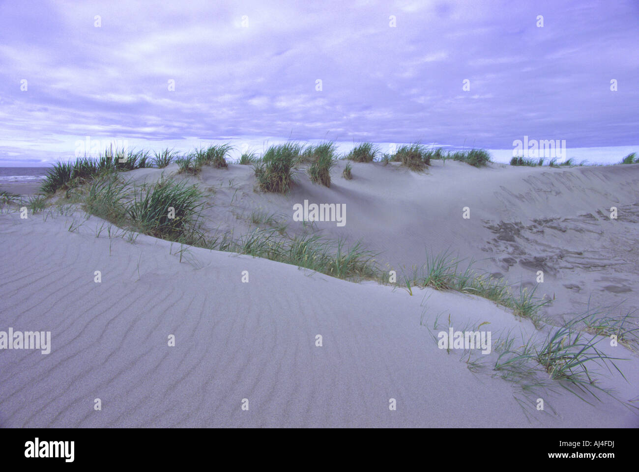 Sand Dunes on Beach at McIntyre Bay on Graham Island, Haida Gwaii ...