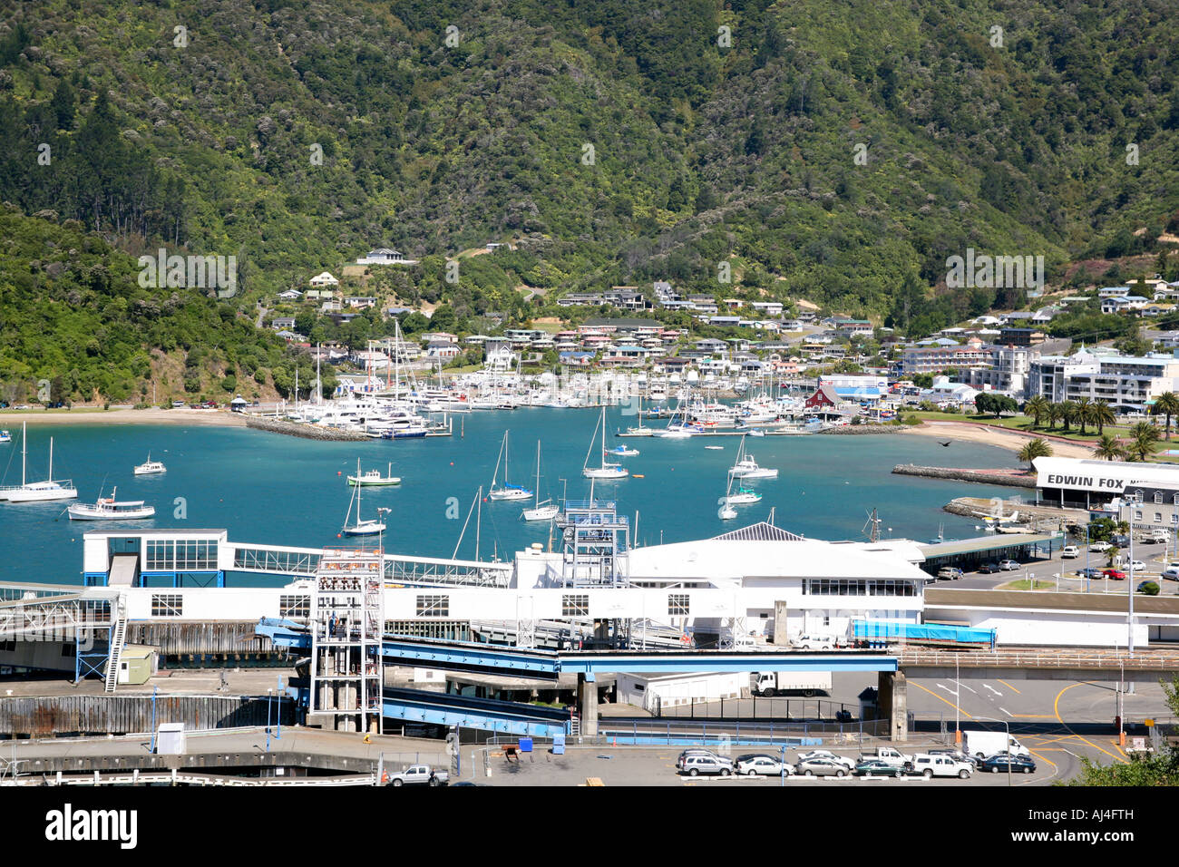 Picton harbour from Queen Charlotte Drive, New Zealand Stock Photo - Alamy