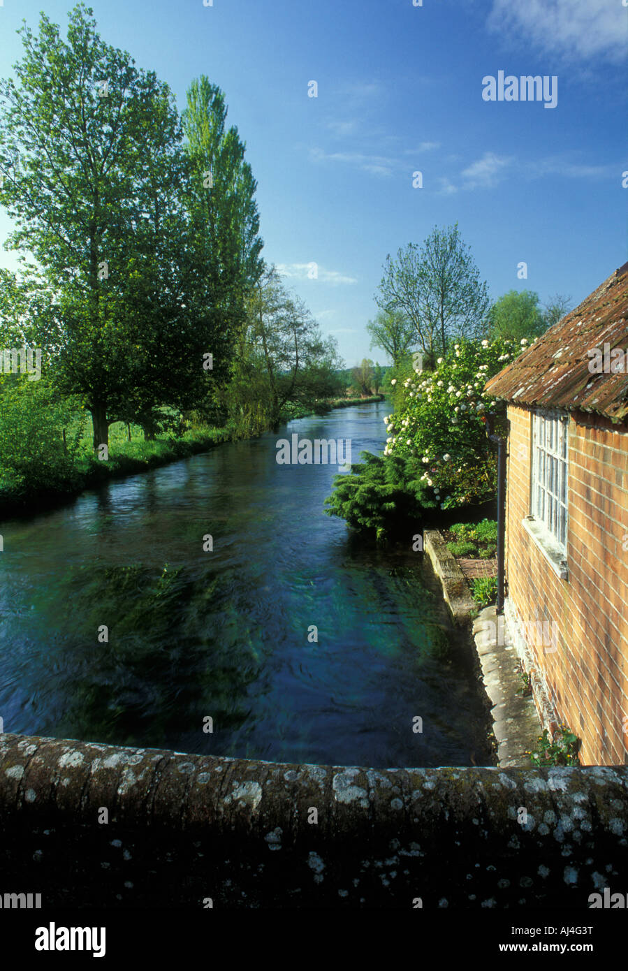 River Lambourn at Boxford Berkshire England Stock Photo - Alamy