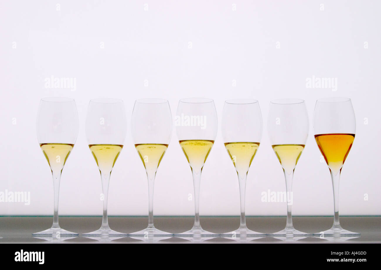 Analytical wine tasting in a neutral white environment a white desk a ...