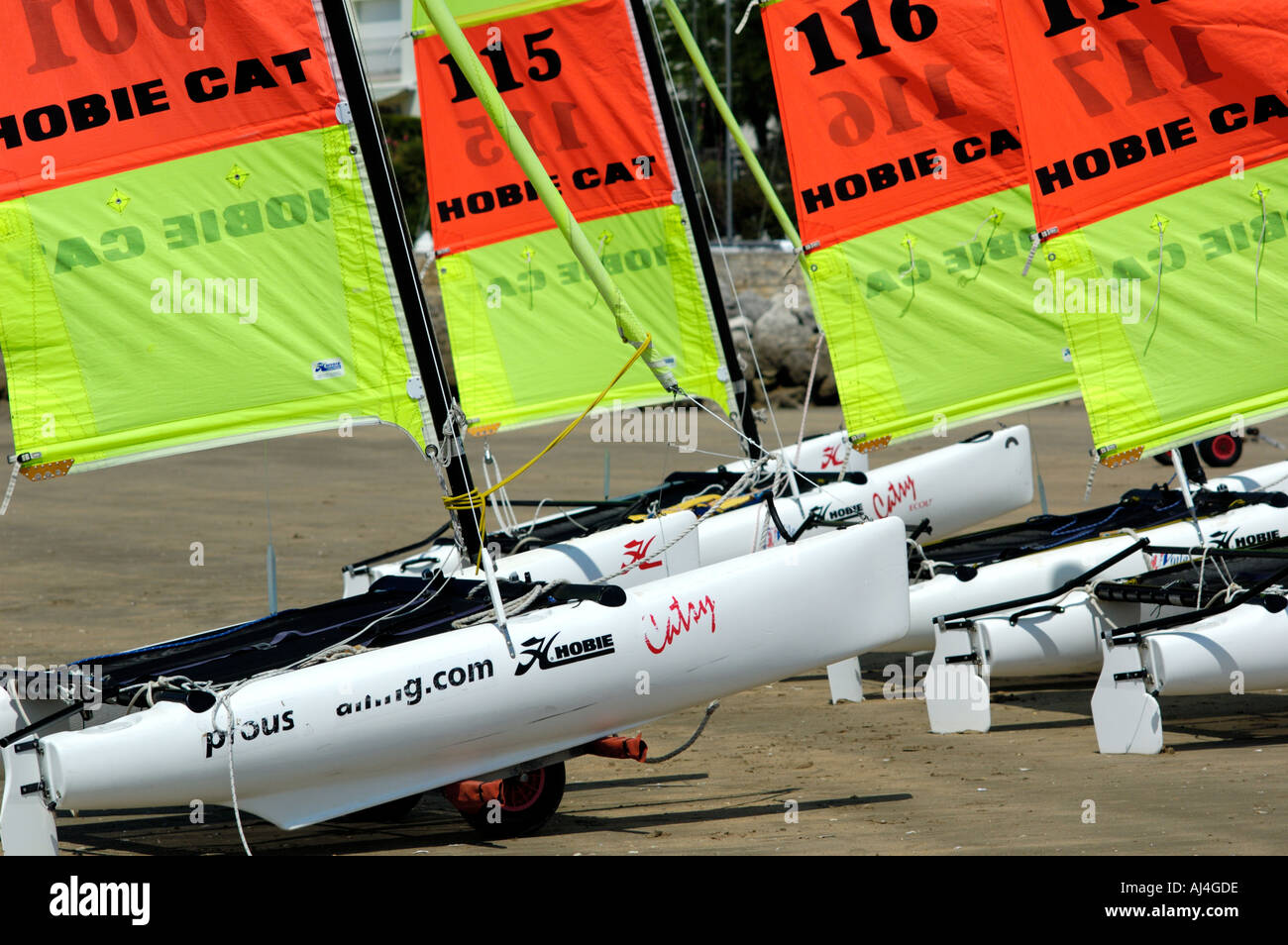 catamaran hobie cats Stock Photo - Alamy