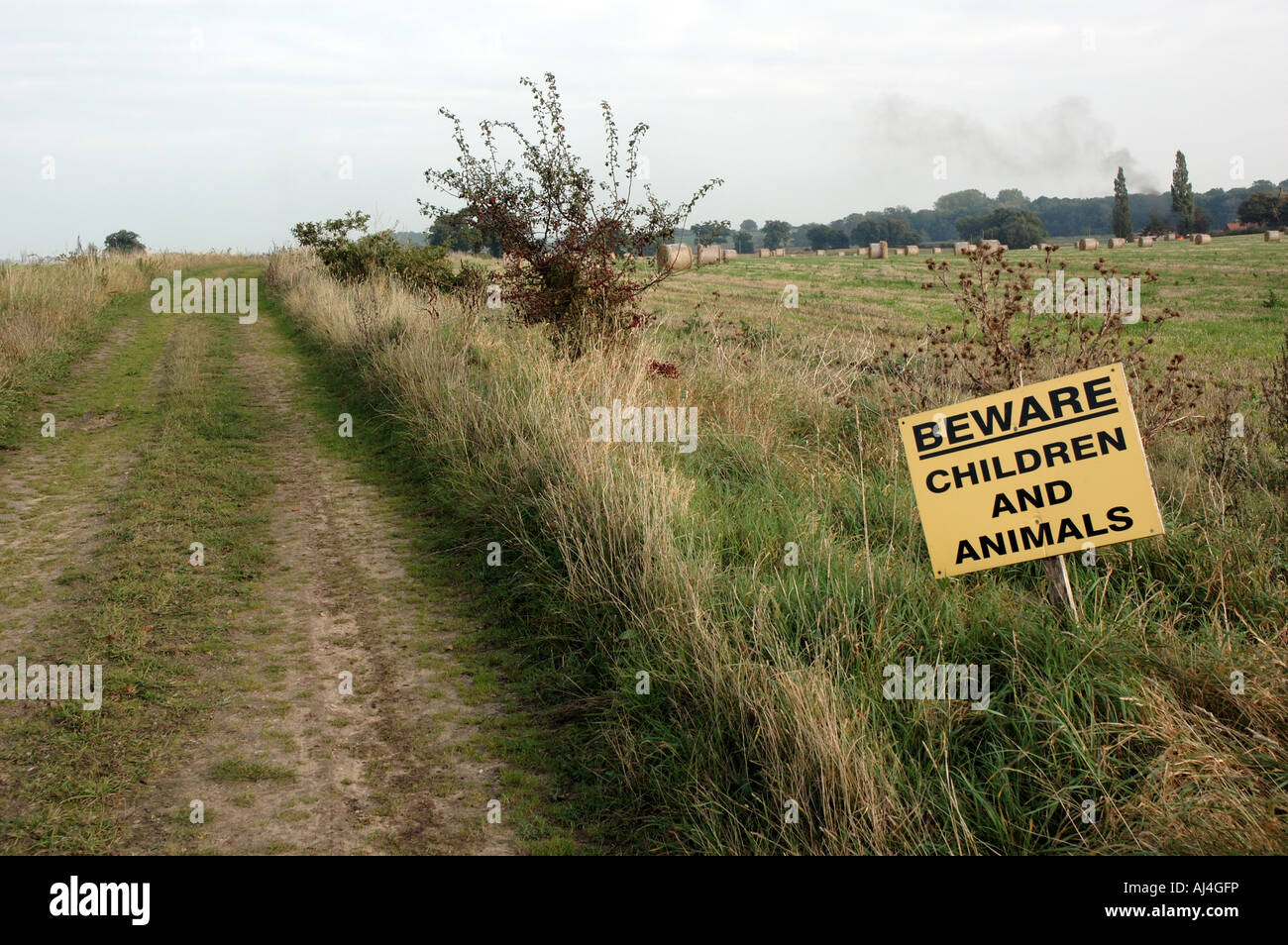 Sign, Beware children and animals, Norfolk, UK Stock Photo - Alamy