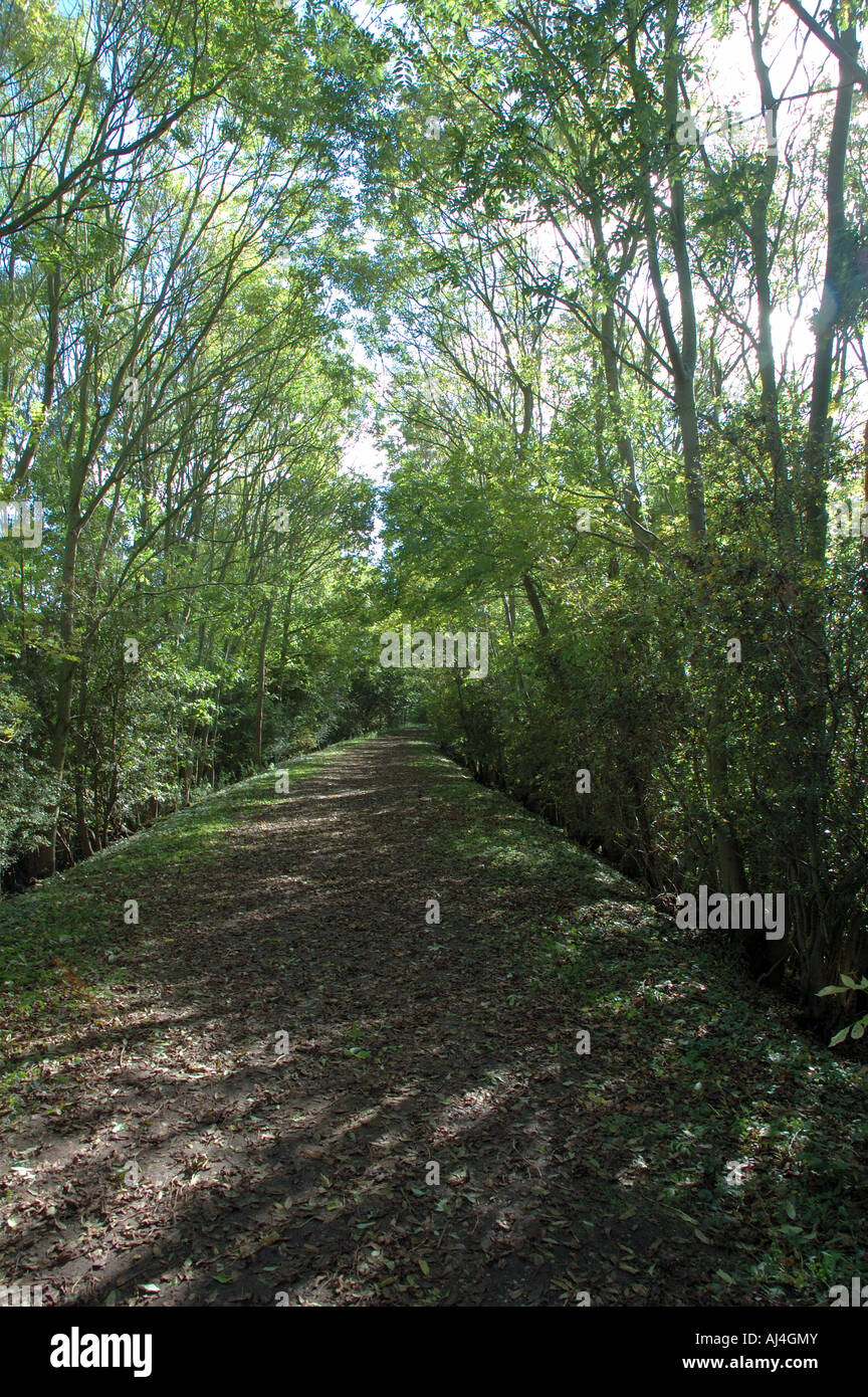Marriott's Way footpath near Reepham, Norfolk, UK Stock Photo - Alamy