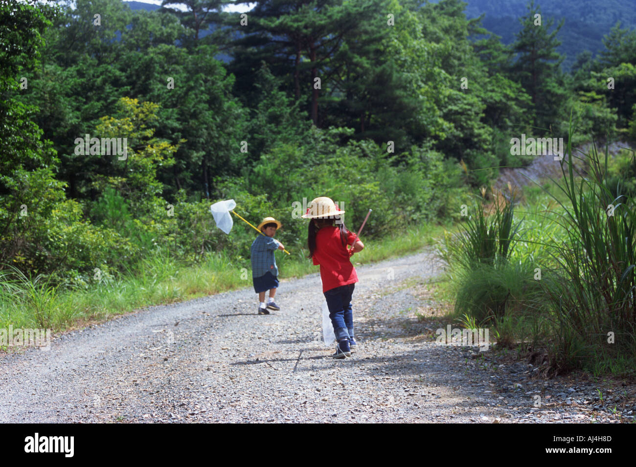 Walking net hi-res stock photography and images - Alamy