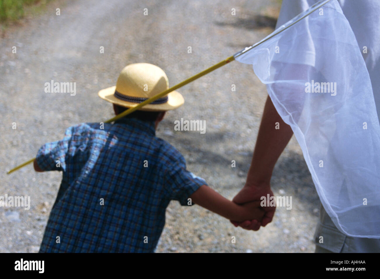 A boy walking with butterfly net Stock Photo - Alamy