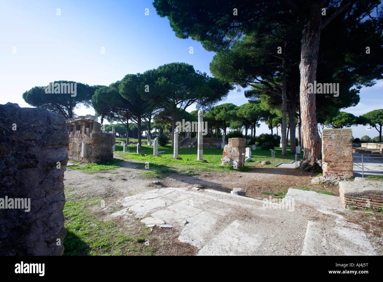 View Of Ruins And Stone Pine Trees In The Ancient Roman Port Of Ostia ...