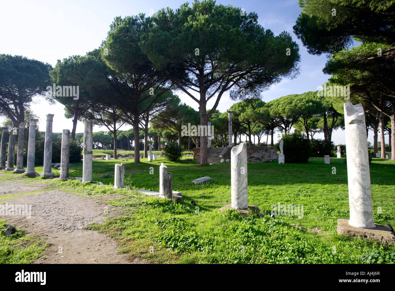 View Of Columns And Stone Pine Trees In The Ancient Roman Port Of Ostia ...