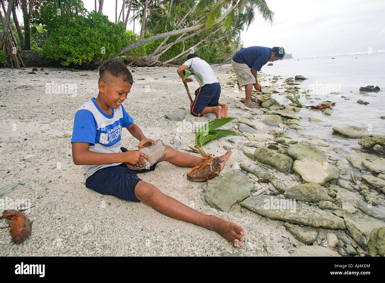Smashing the tree hi-res stock photography and images - Alamy