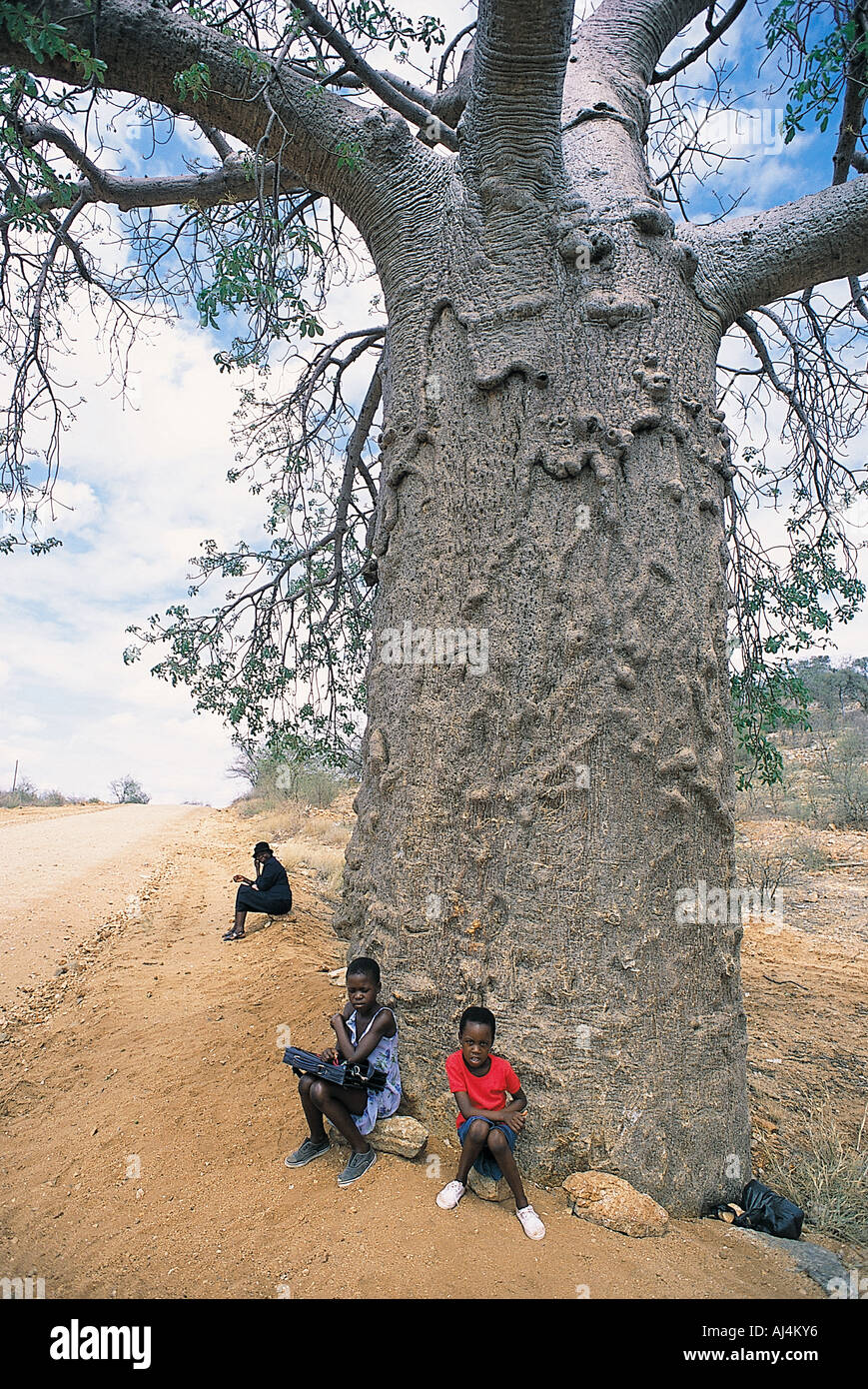Messina south africa hi-res stock photography and images - Alamy