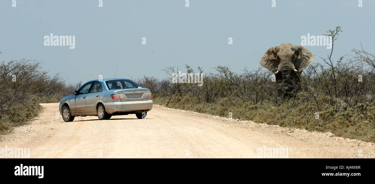 Self drive safari namibia hi-res stock photography and images - Alamy