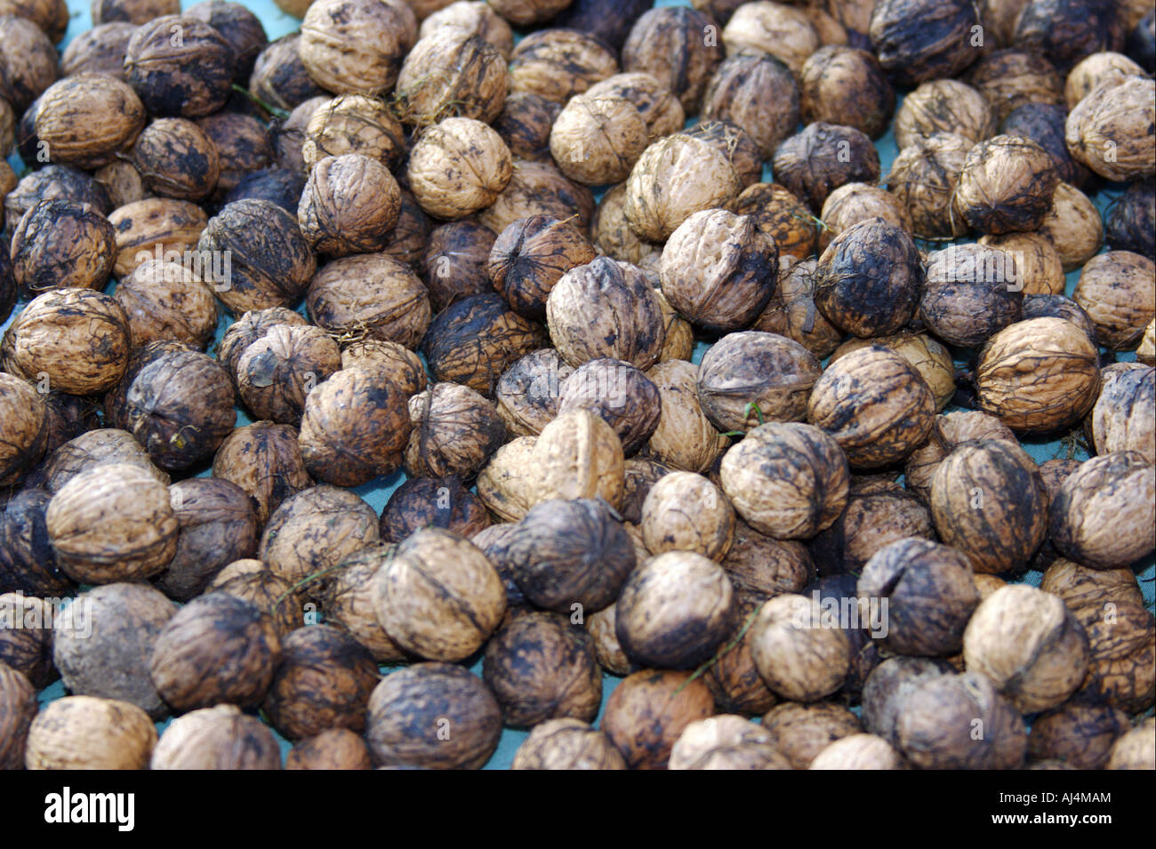 Bunch of nuts Stock Photo - Alamy