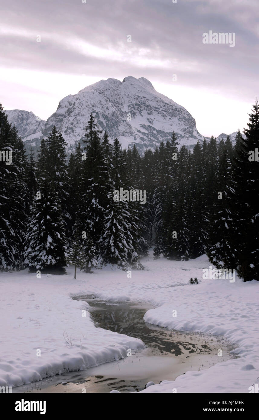 Winter snow in Durmitor National Park near Zabljak in the Republic of ...