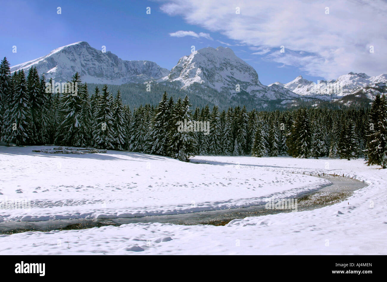 Winter snow in Durmitor National Park near Zabljak in the Republic of ...