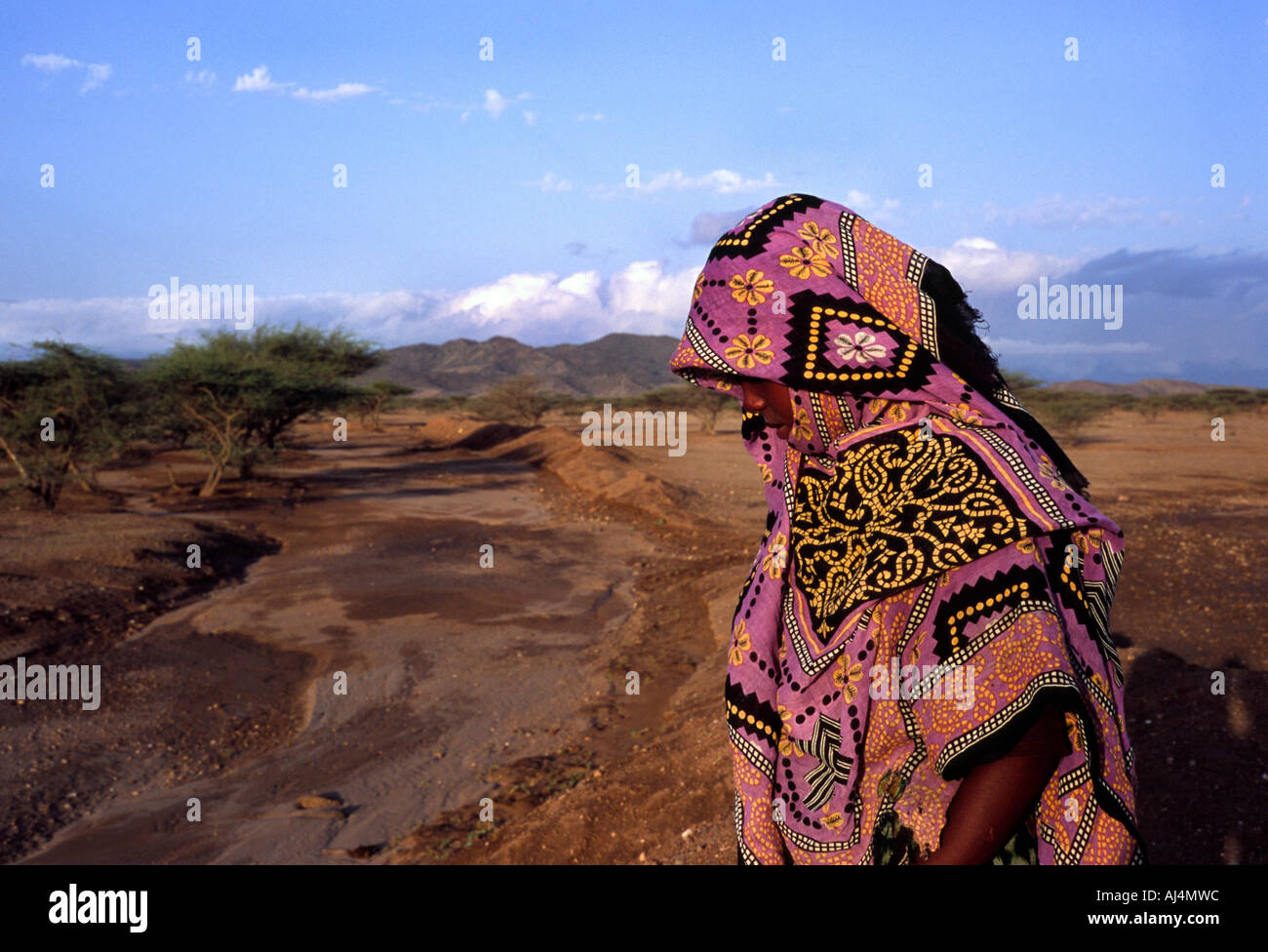 Dankalia hi-res stock photography and images - Alamy