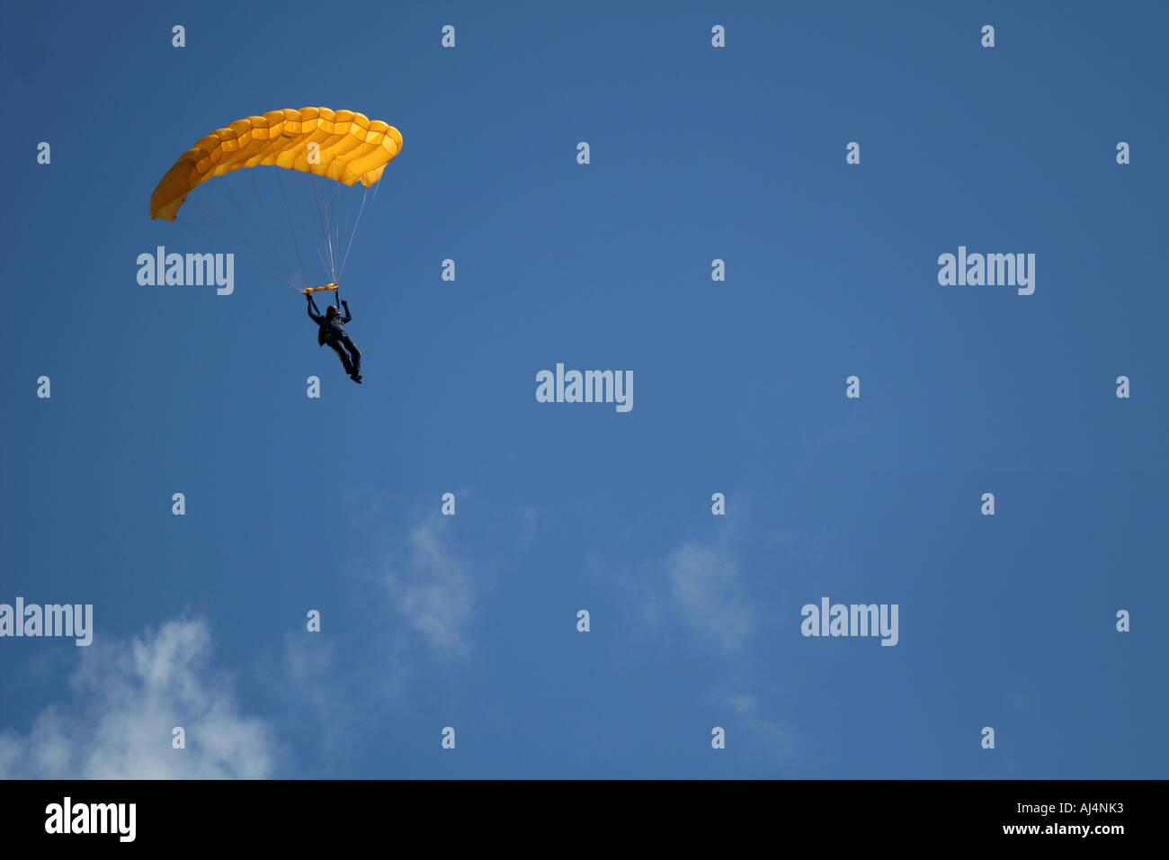 Elliptical canopy hi-res stock photography and images - Alamy