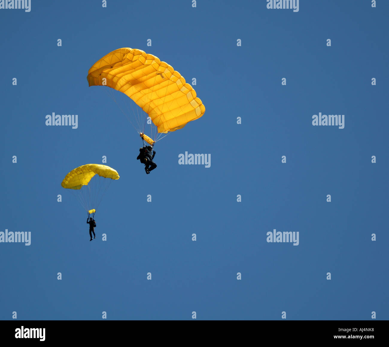 Elliptical wing design hi-res stock photography and images - Alamy