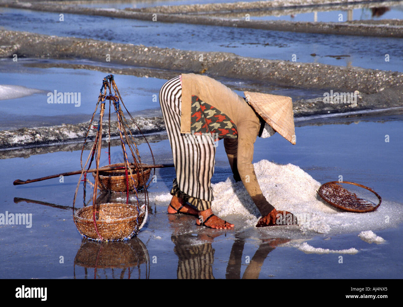 Women harvesting salt at Nha Trang salt fields Vietnam Stock Photo - Alamy