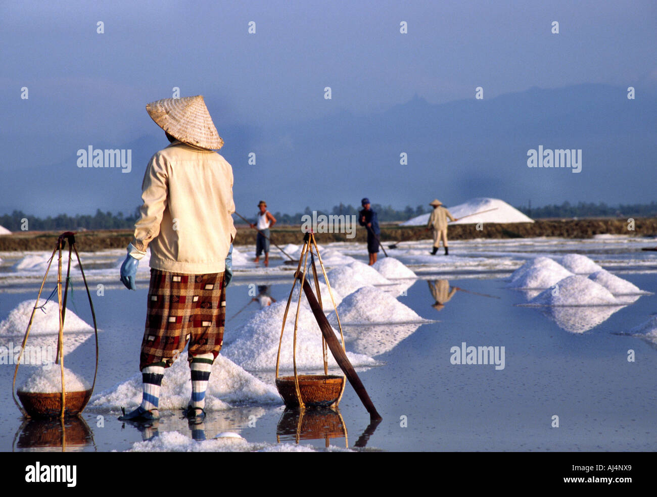 Harvesting salt hi-res stock photography and images - Alamy