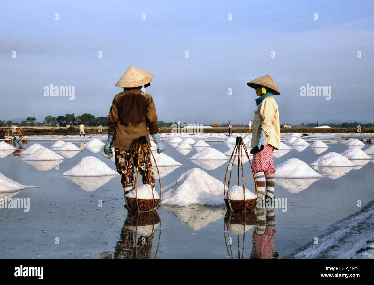 Women harvesting salt at Nha Trang salt fields Vietnam Stock Photo - Alamy