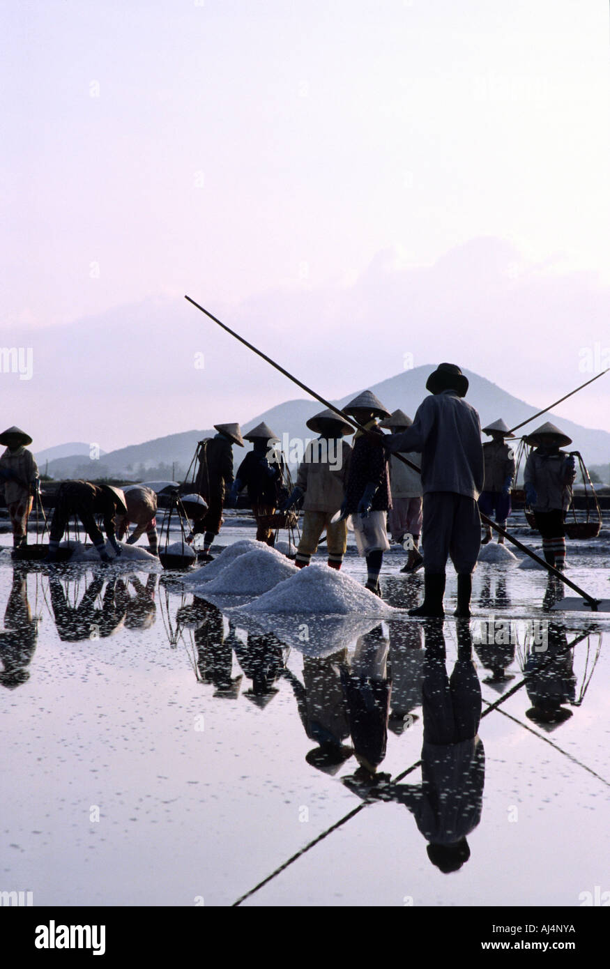 People harvesting salt at Nha Trang salt fields Vietnam Stock Photo - Alamy