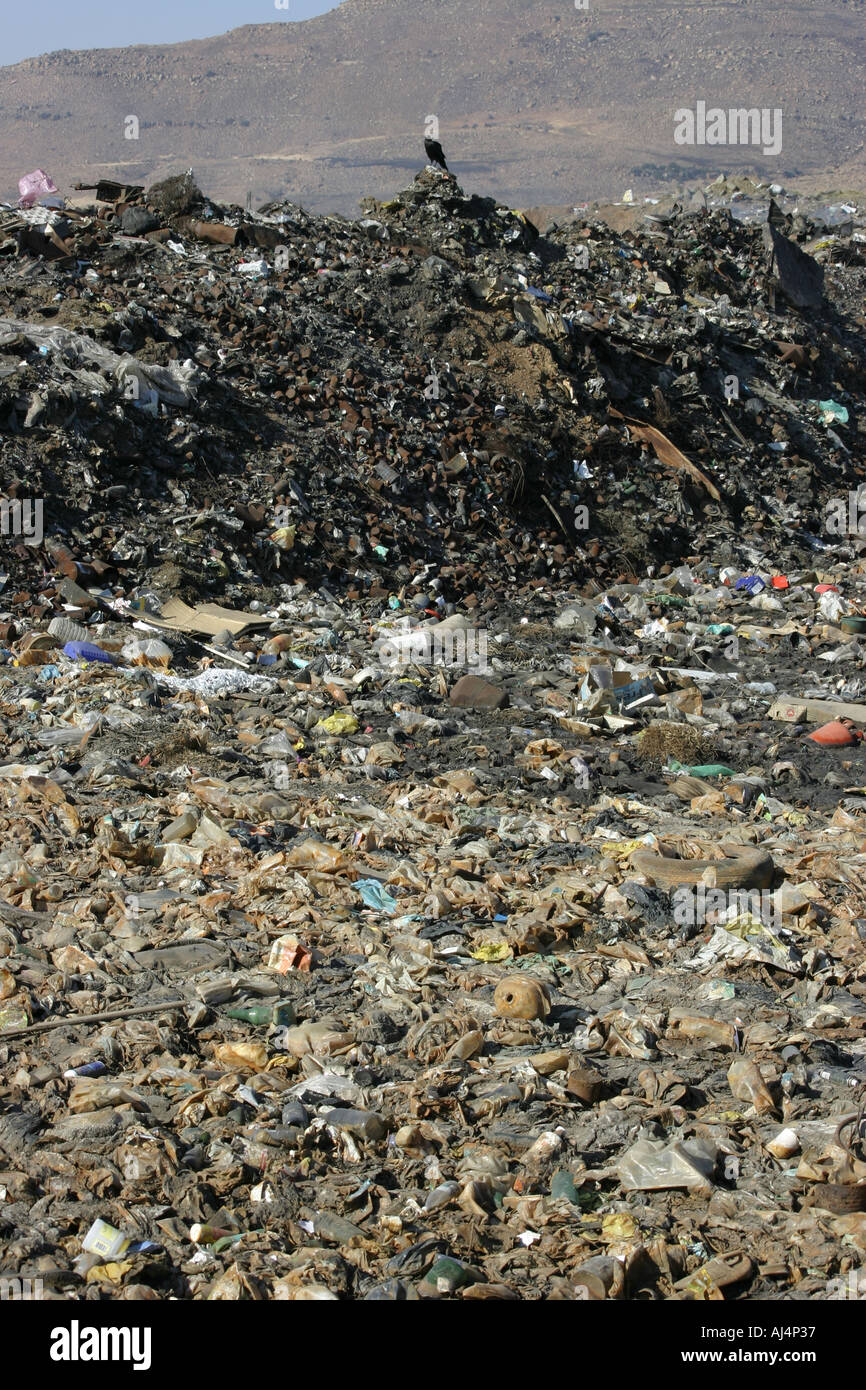 Crow guarding over rubbish dump Rubbish dump South Africa Stock Photo ...