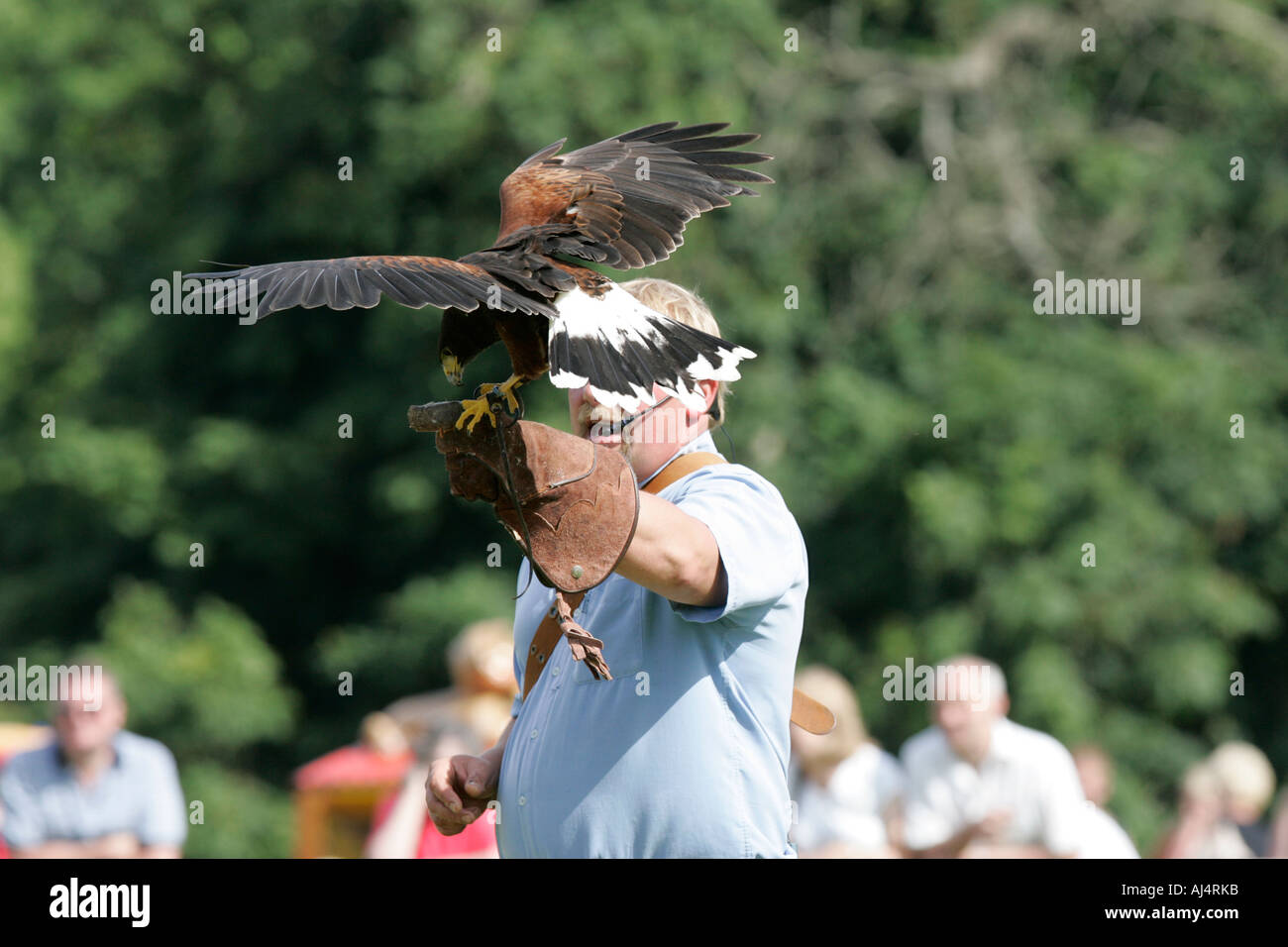 A crowd of birds hi-res stock photography and images - Alamy