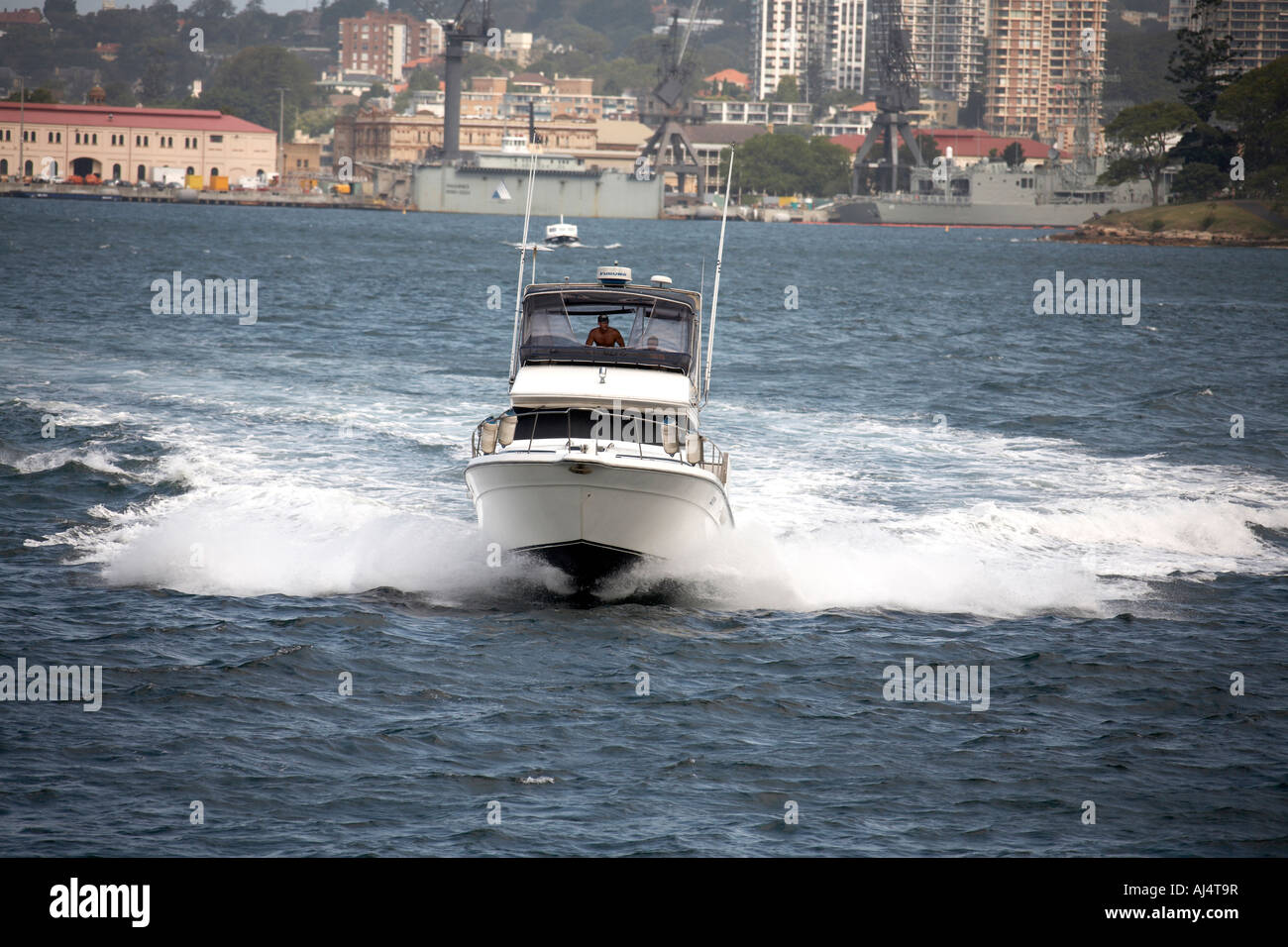 Motor launch speed boat cruiser on harbour in Sydney New South Wales ...