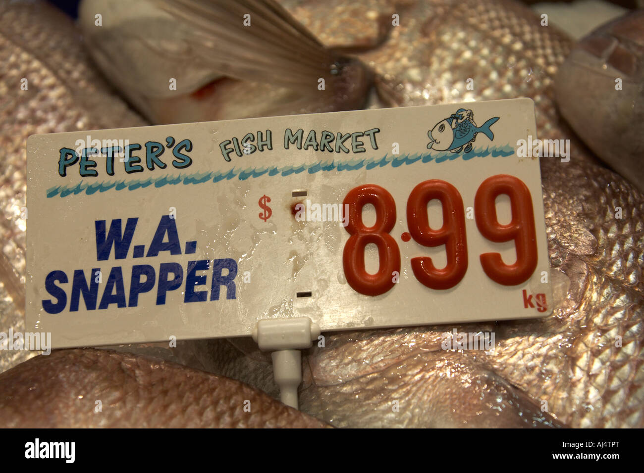 WA snapper fish on sale in Fish Market shop Sydney New South Wales NSW ...