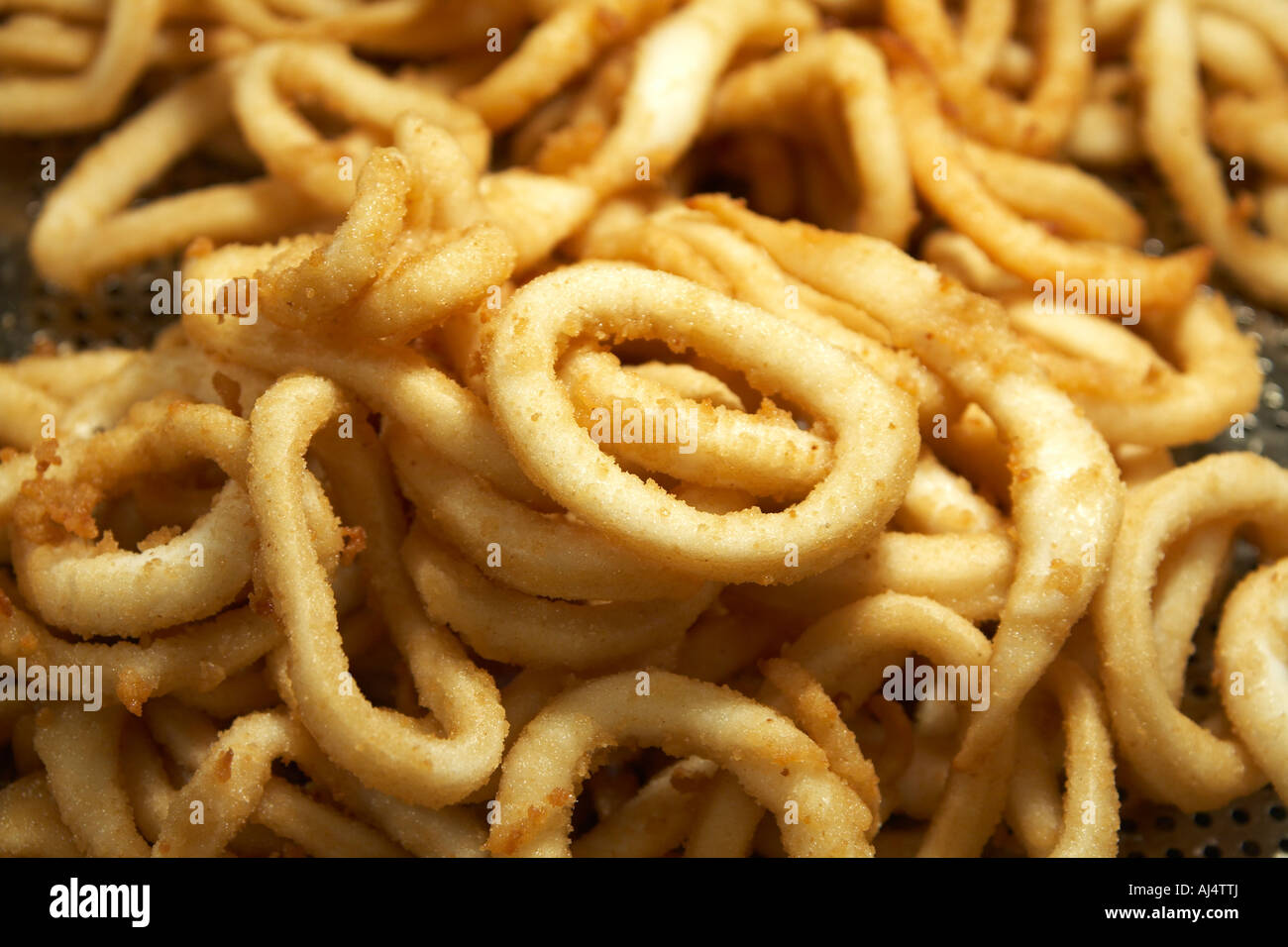 Calamari or squid seafood fish rings on sale in Fish Market shop Sydney ...
