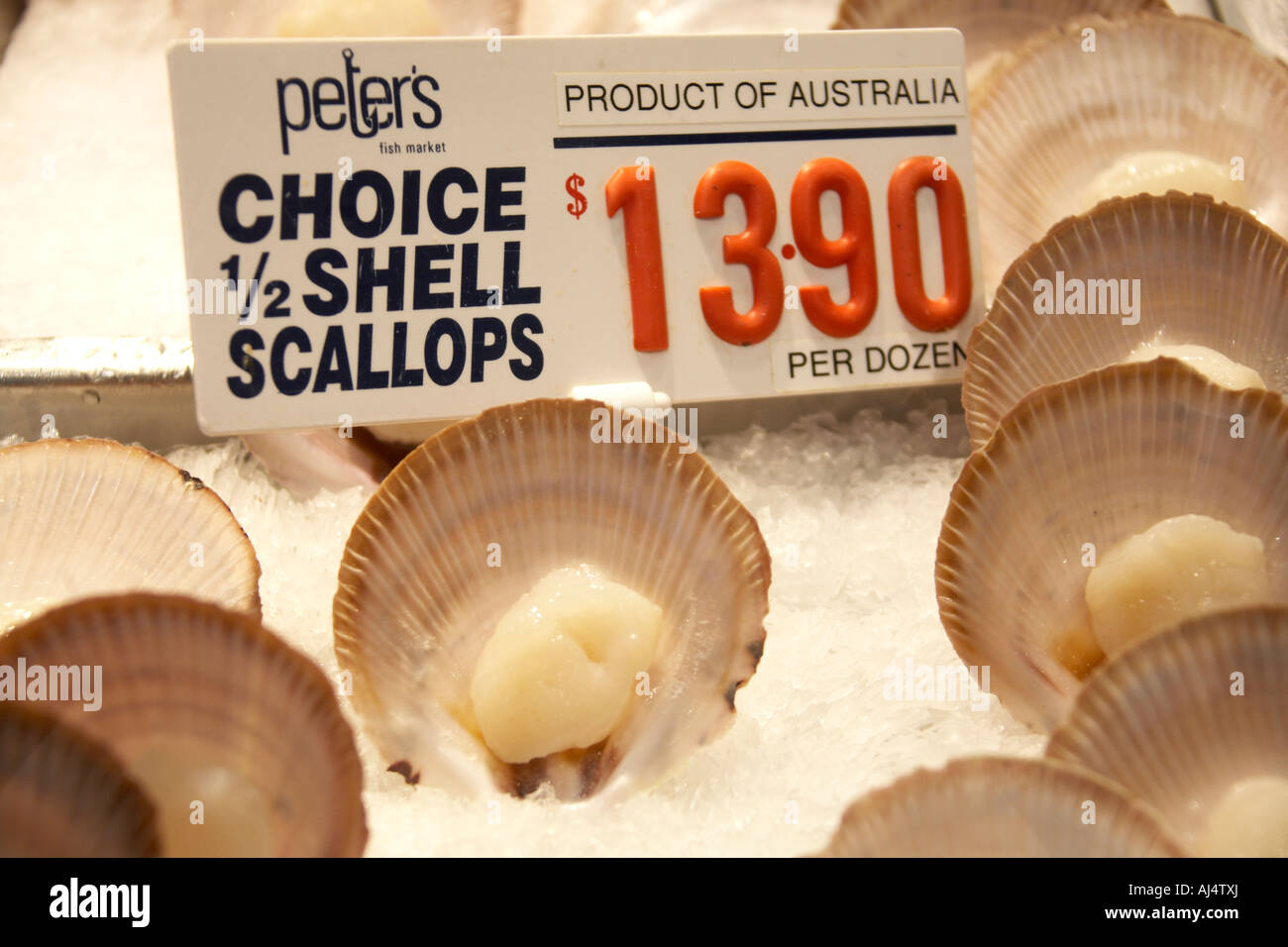 Scalops shellfish seafood on sale in Fish Market shop Sydney New South ...