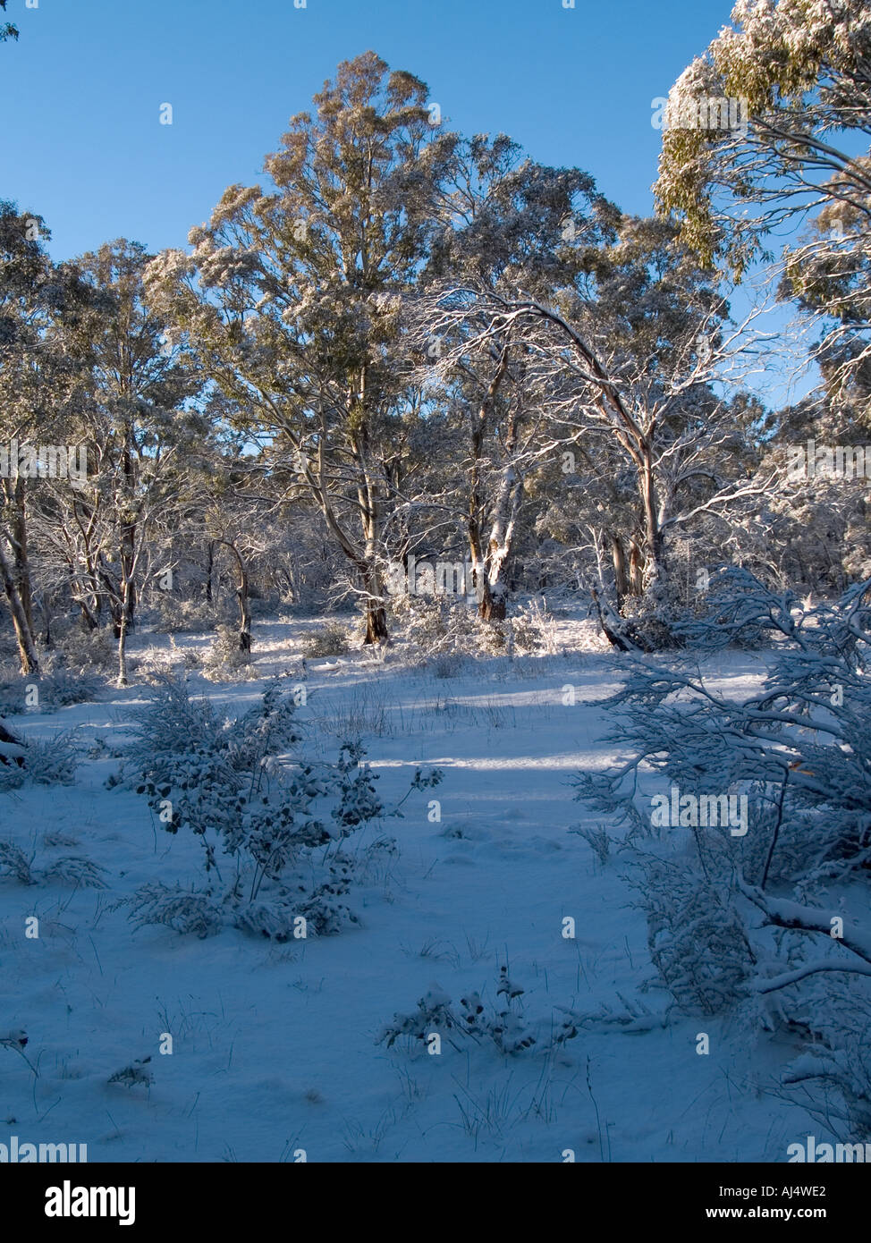 Snowy Mountains NSW Australia Stock Photo - Alamy