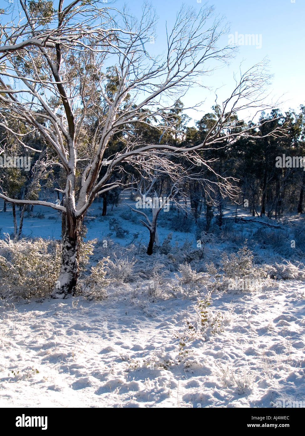 Snowy Mountains NSW Australia Stock Photo - Alamy