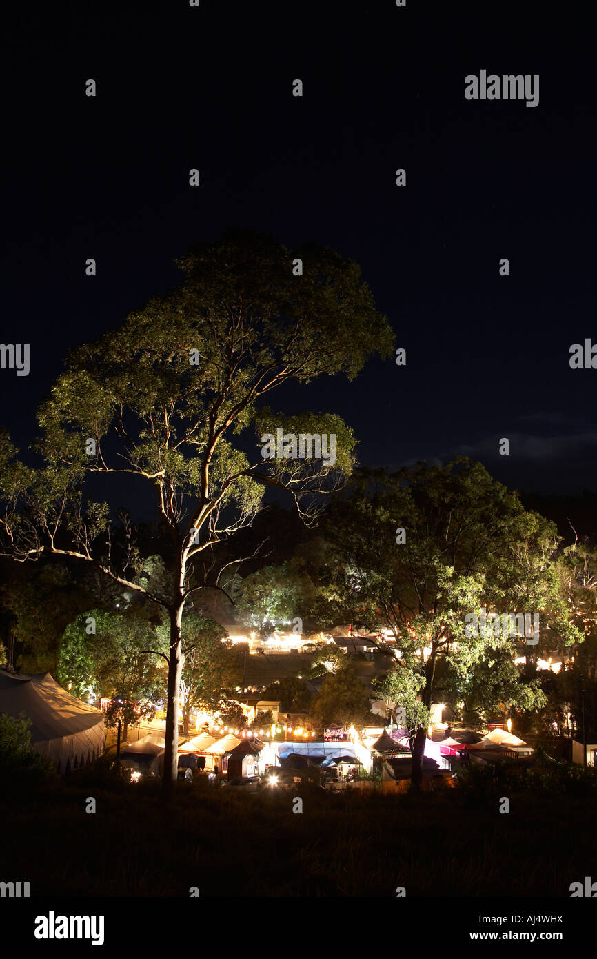 Trees night lit by coloured lights designed by Walter Holt and ...