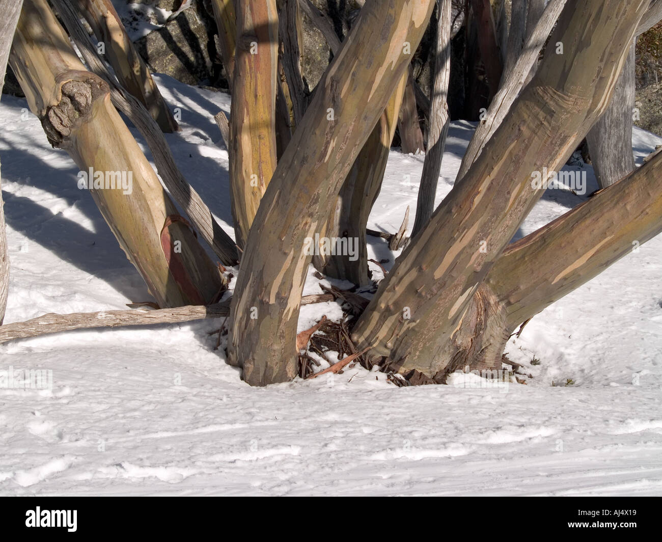Perisher valley australia winter hi-res stock photography and images ...