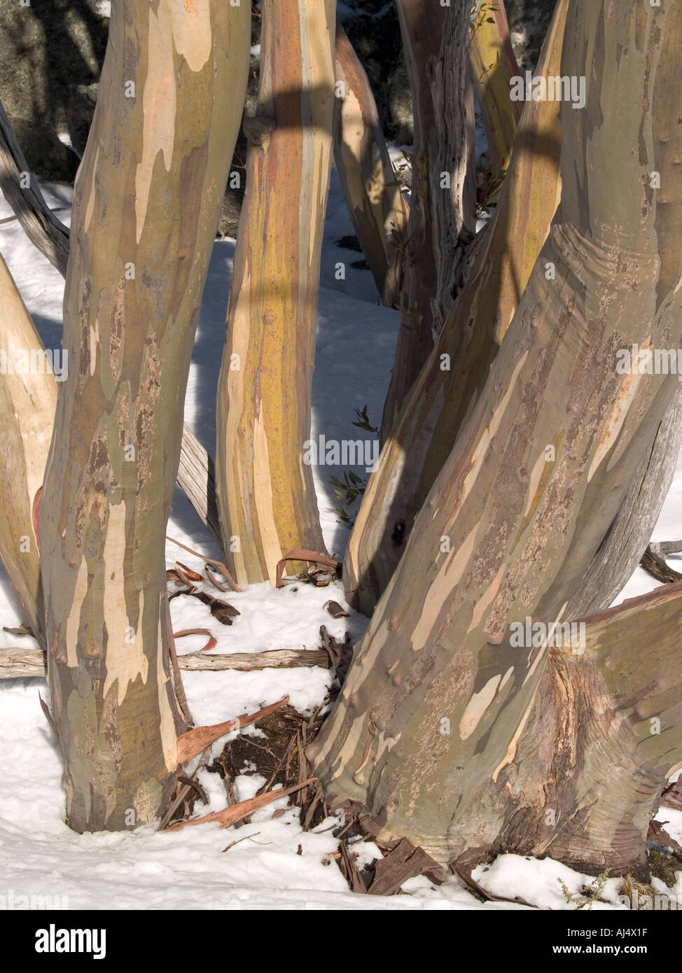 Perisher nsw australia hi-res stock photography and images - Alamy