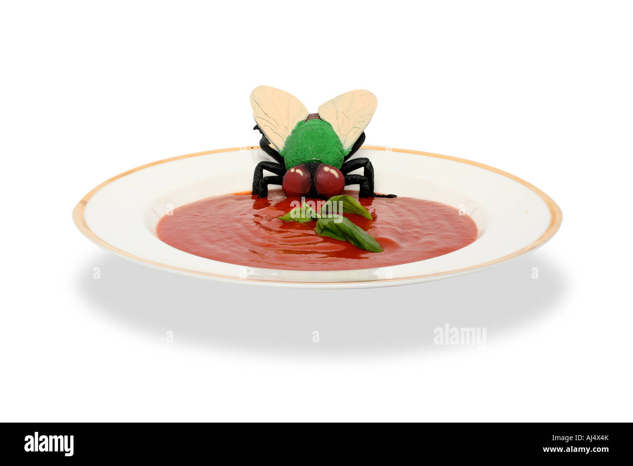 Spoon waiter funny hi-res stock photography and images - Alamy