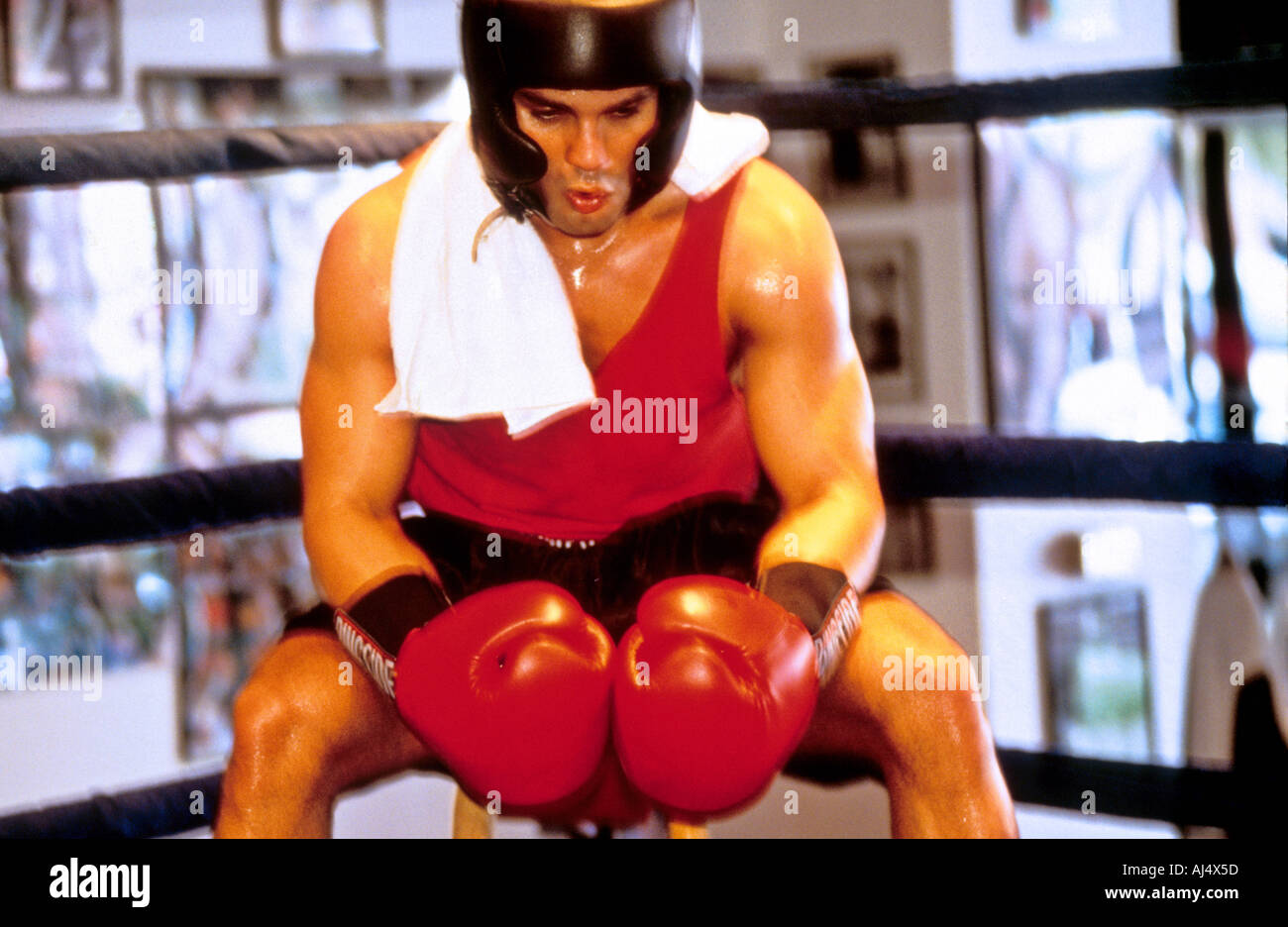 Boxer resting in his corner Stock Photo - Alamy