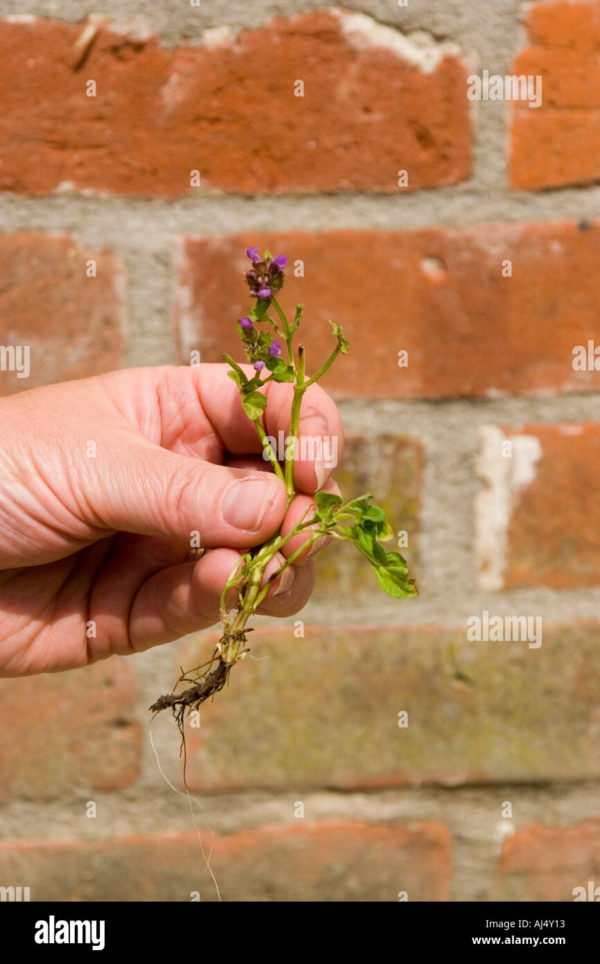 Hand possible hi-res stock photography and images - Alamy