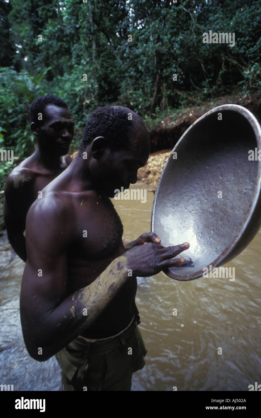 Gold panners hand panning for gold in Kakamega Forest Kenya Stock Photo ...