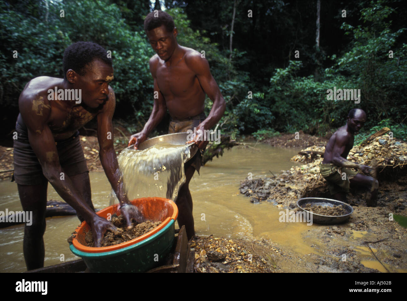 Gold panners hand panning for gold in Kakamega Forest Kenya Stock Photo ...