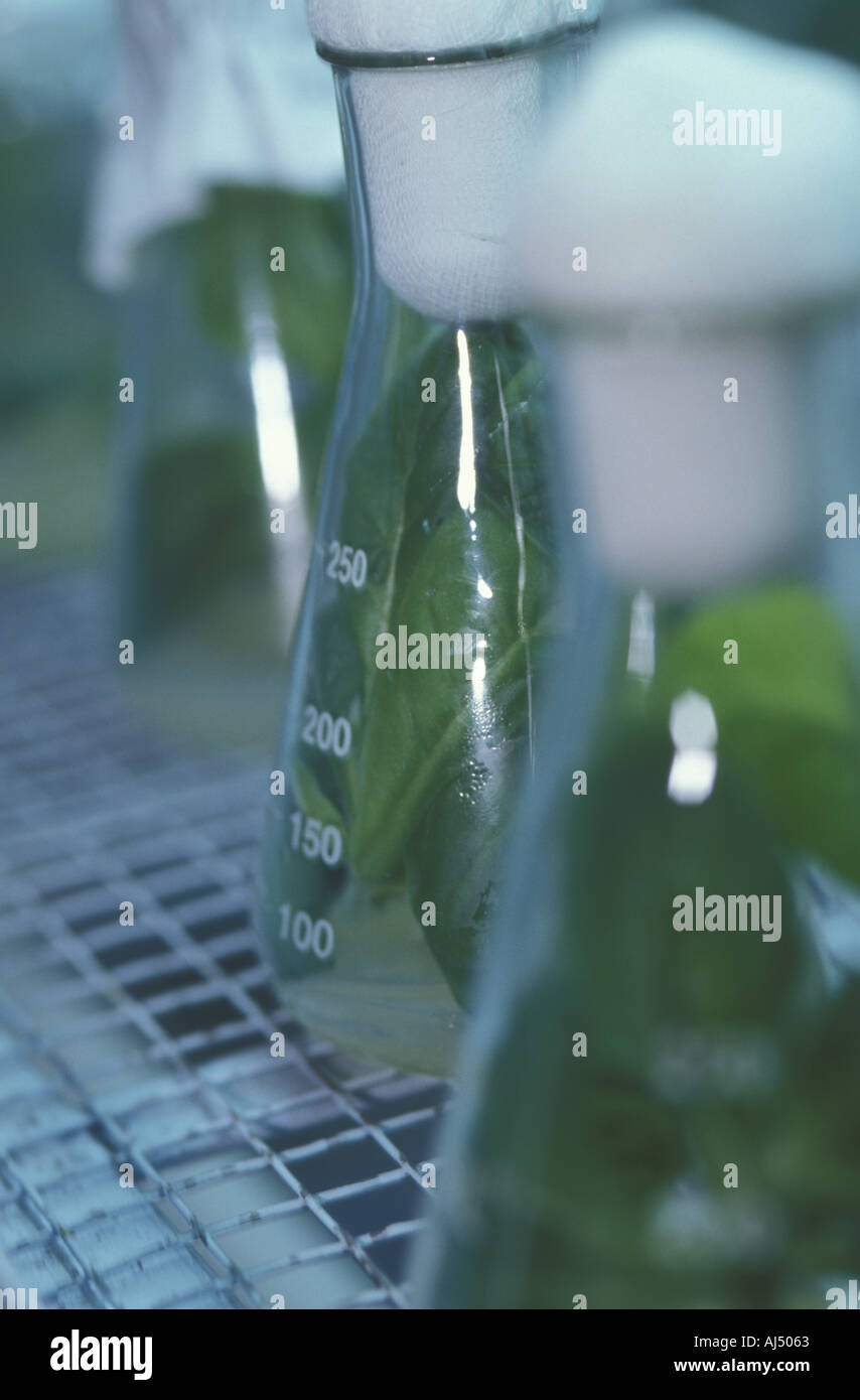 Biotech lab india hi-res stock photography and images - Alamy