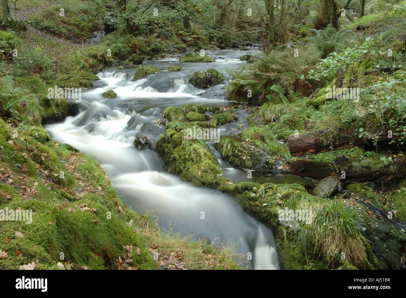 Cascade of water at Dolgoch - Dol Goch waterfalls in Snowdonia National ...