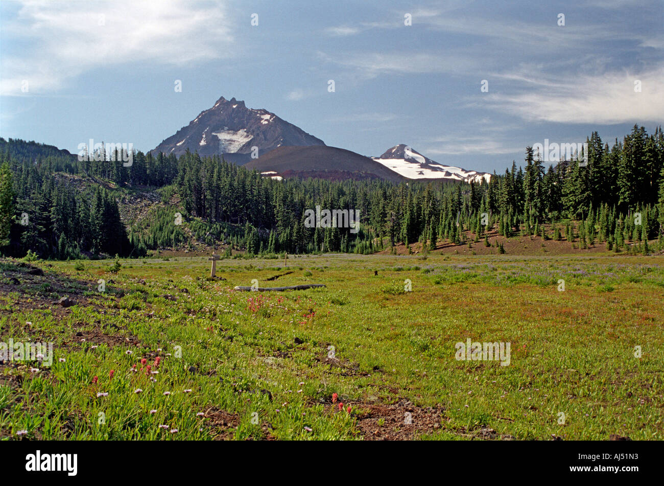 Scott meadow hi-res stock photography and images - Alamy